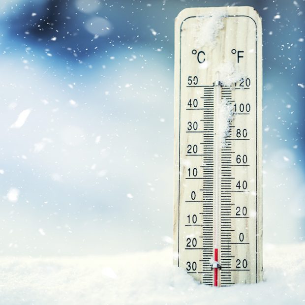 Pollution Masks - Respro®